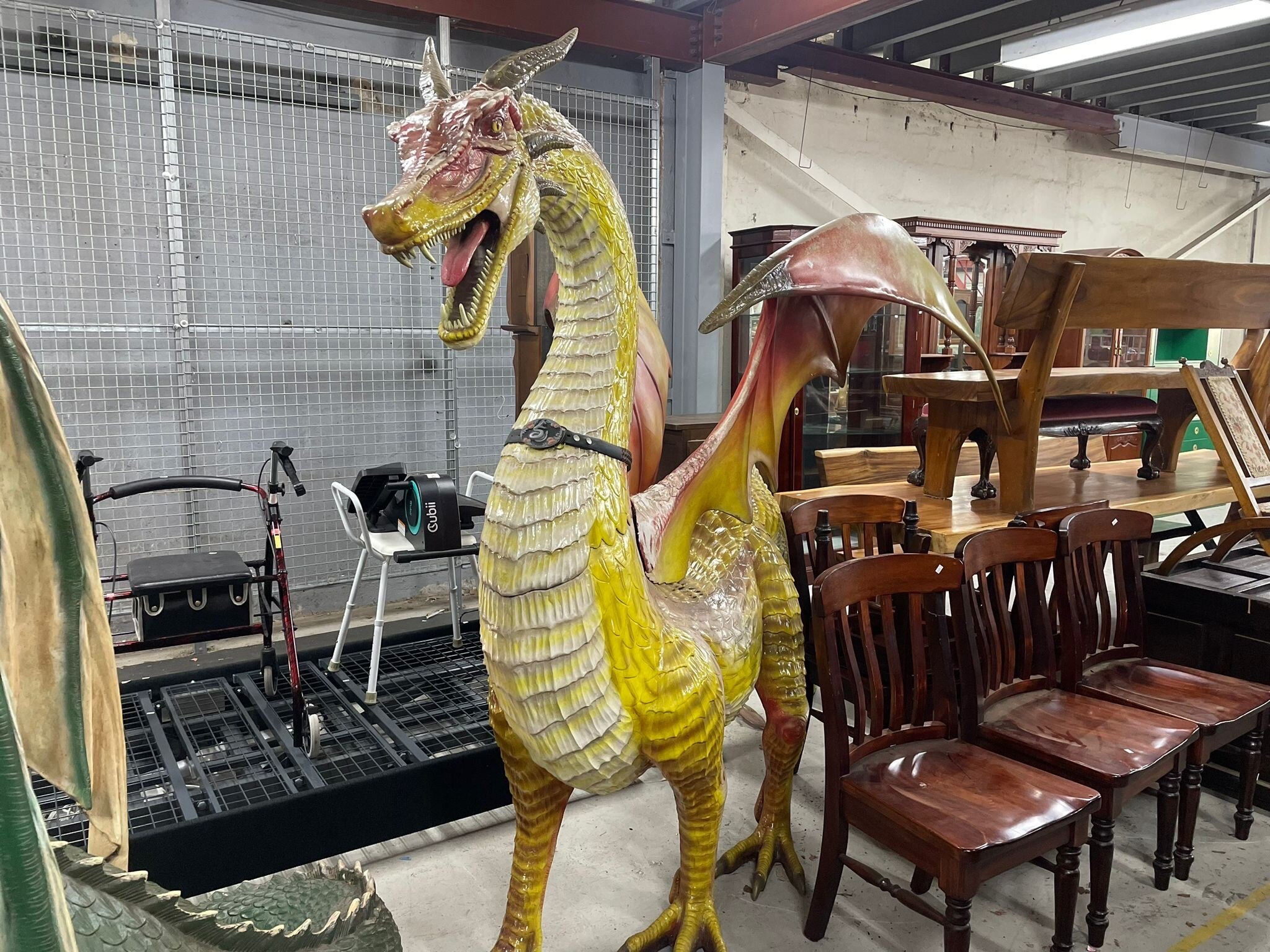 Seven-foot dragon goes under the hammer in Welland - ABC listen