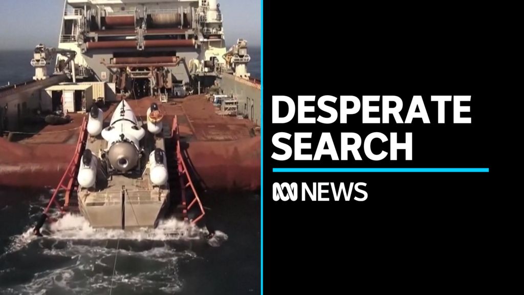 Colossal squid autopsy captured on camera in New Zealand - ABC News