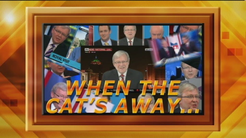 When the cat's away... - ABC News