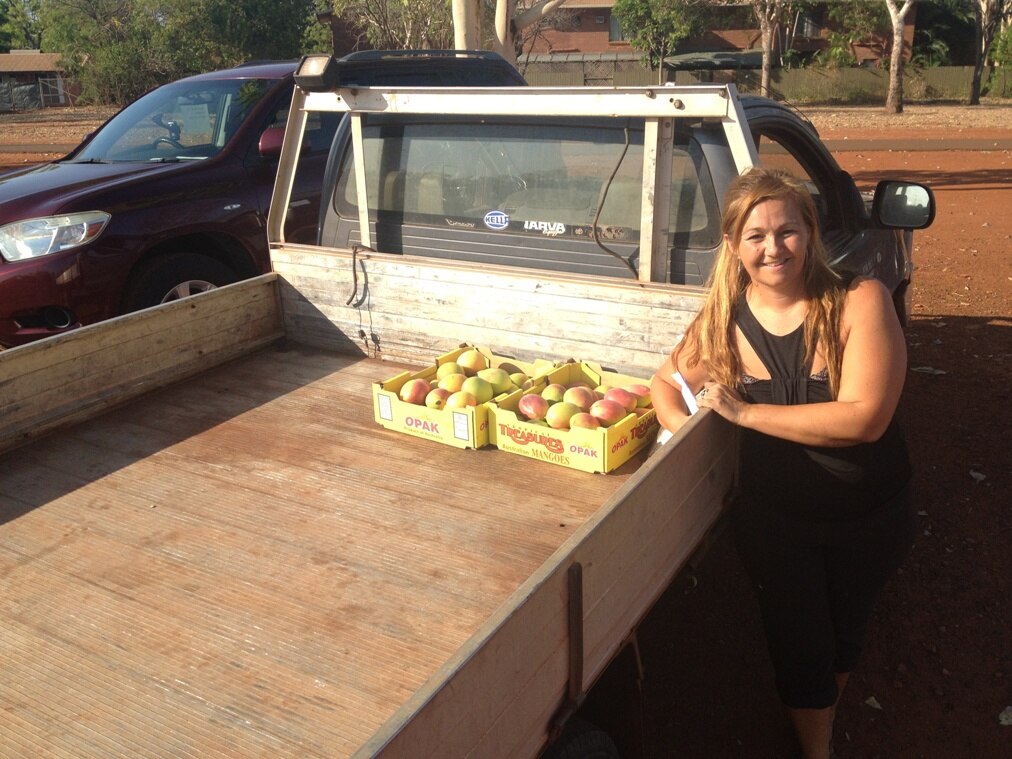 Katherine mango grower uses social media to boost roadside sales - ABC News
