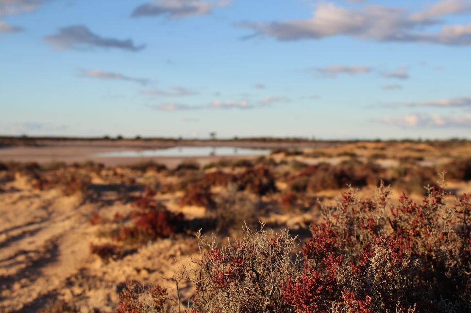 Salt Lakes in Upper Eyre Peninsula probed for Lithium - ABC News