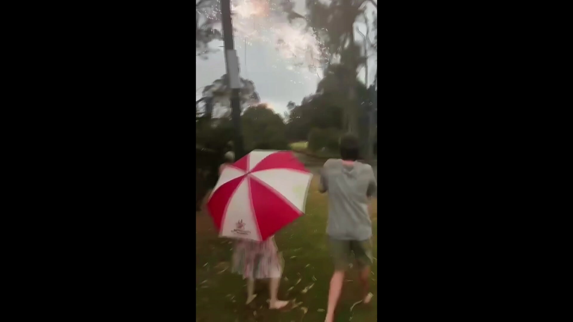 Attempts to move a tree branch led to a powerline sparking - ABC News