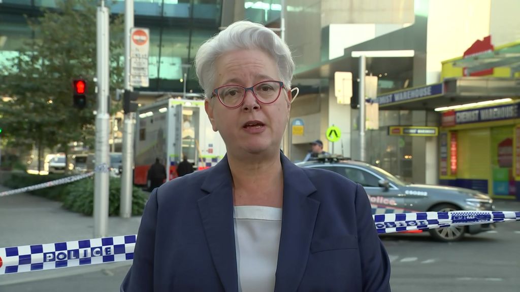 Acting NSW Premier says crisis cabinet convened to discuss incident ...