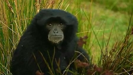 Big Ted's Big Adventure Video Clips | Big Ted's Big Adventure - ABC Kids