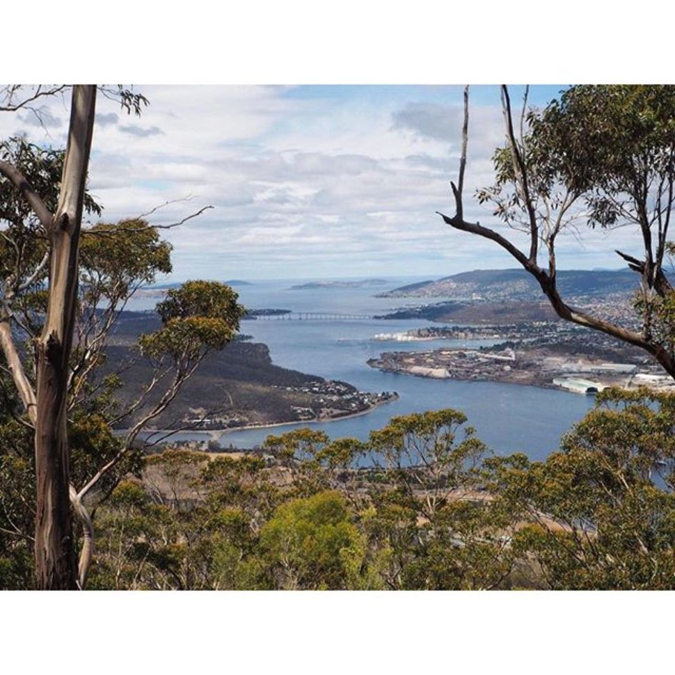 Easy and child-friendly bushwalks around Hobart - ABC News