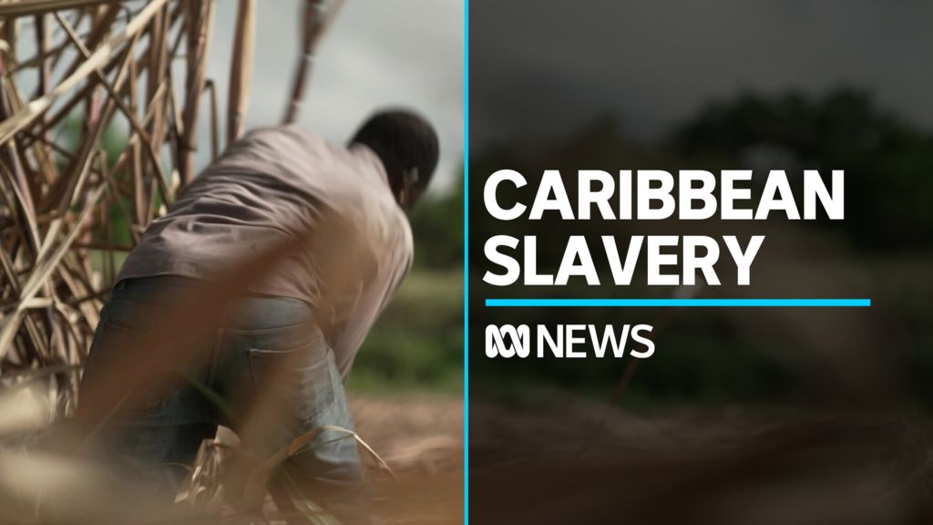 Anti-racism campaign launched in schools - ABC News