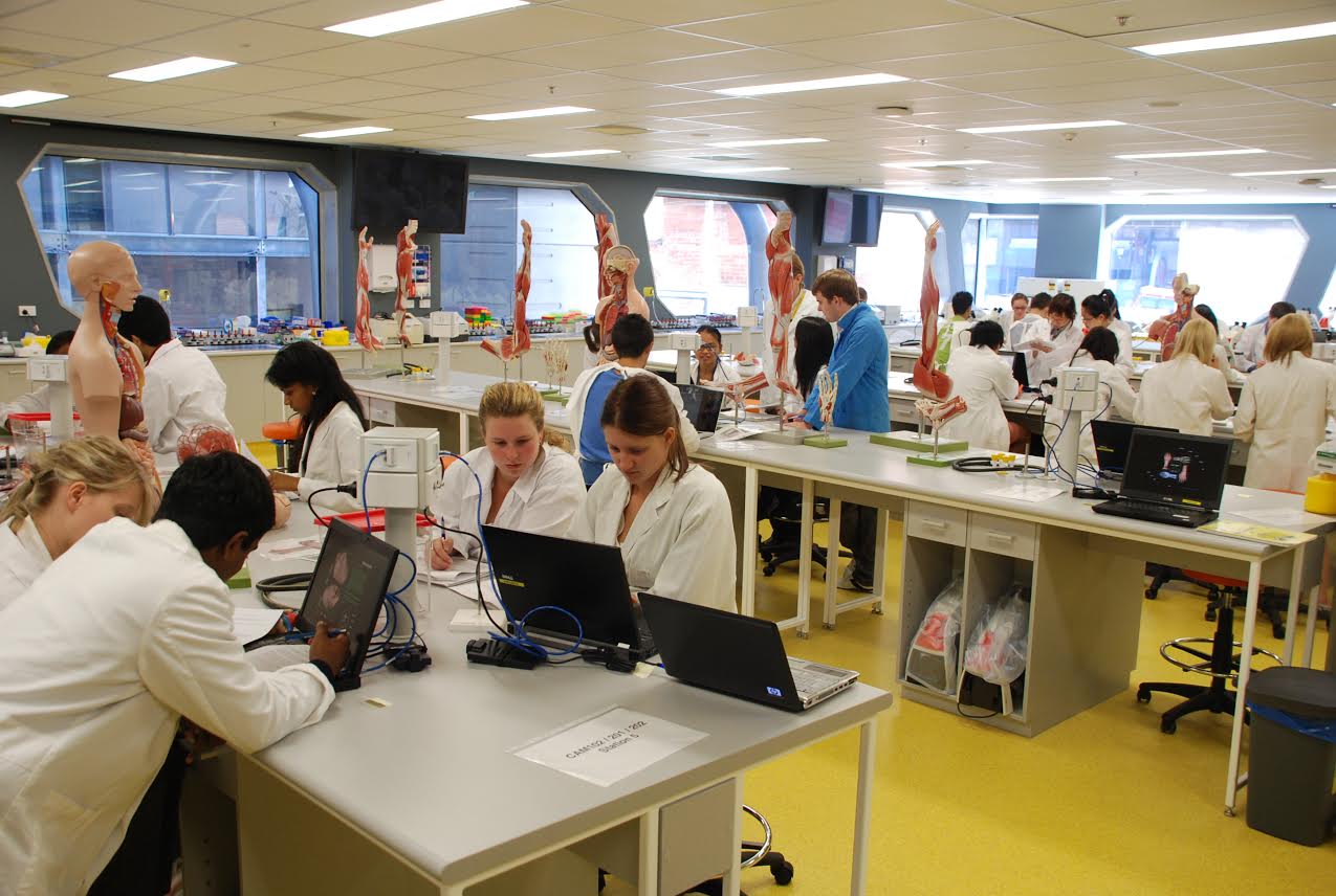 Body bequest program marks 50 years in Tasmania - ABC News