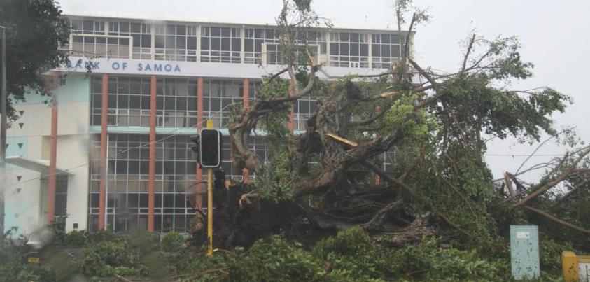 Samoa's economy to grow despite cyclone - ABC News