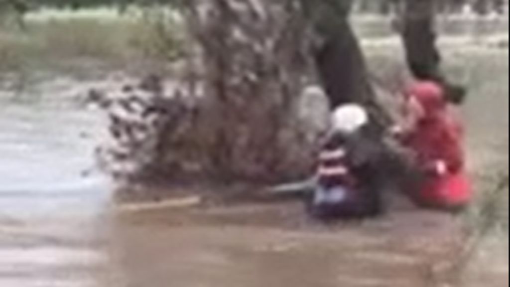 Woman rescued from flood water in Newstead - ABC News