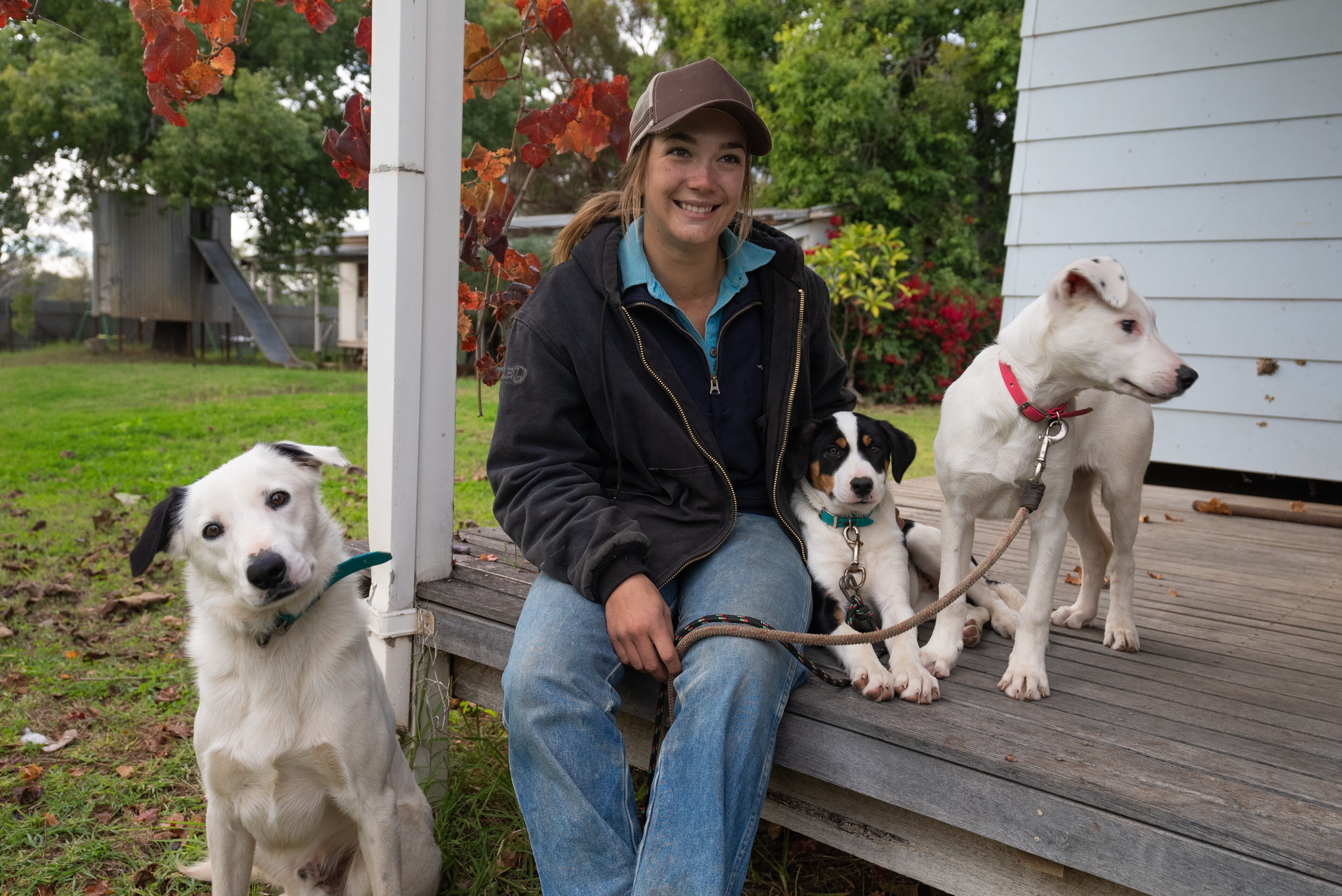 Muster Dogs stars catch us up on life since the series - ABC News
