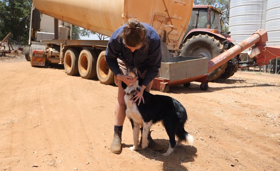 Defying gender stereotypes and going back to the farm - ABC News