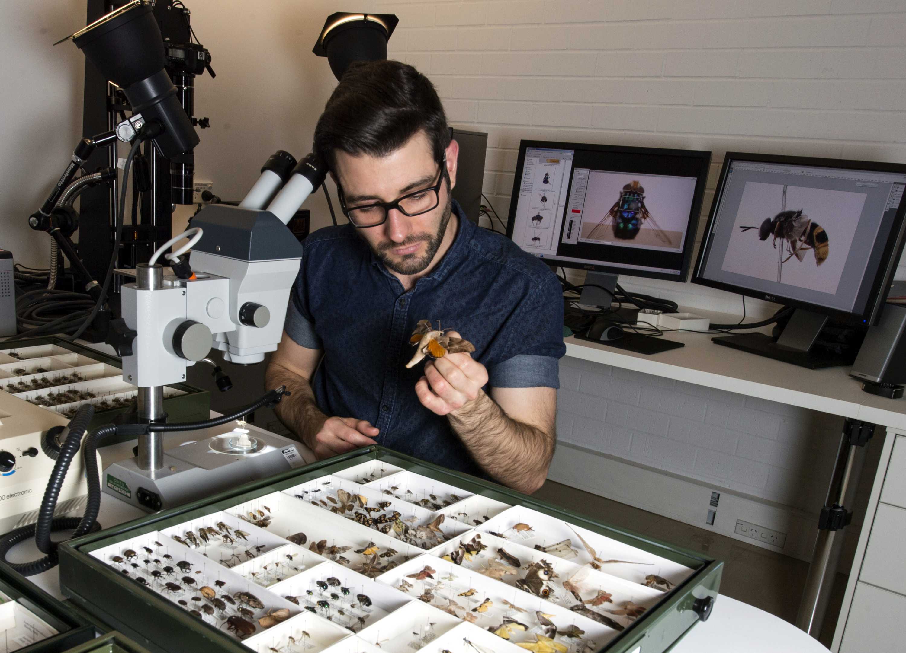 Don't freak out but scientists say there's about 100 insect species in ...