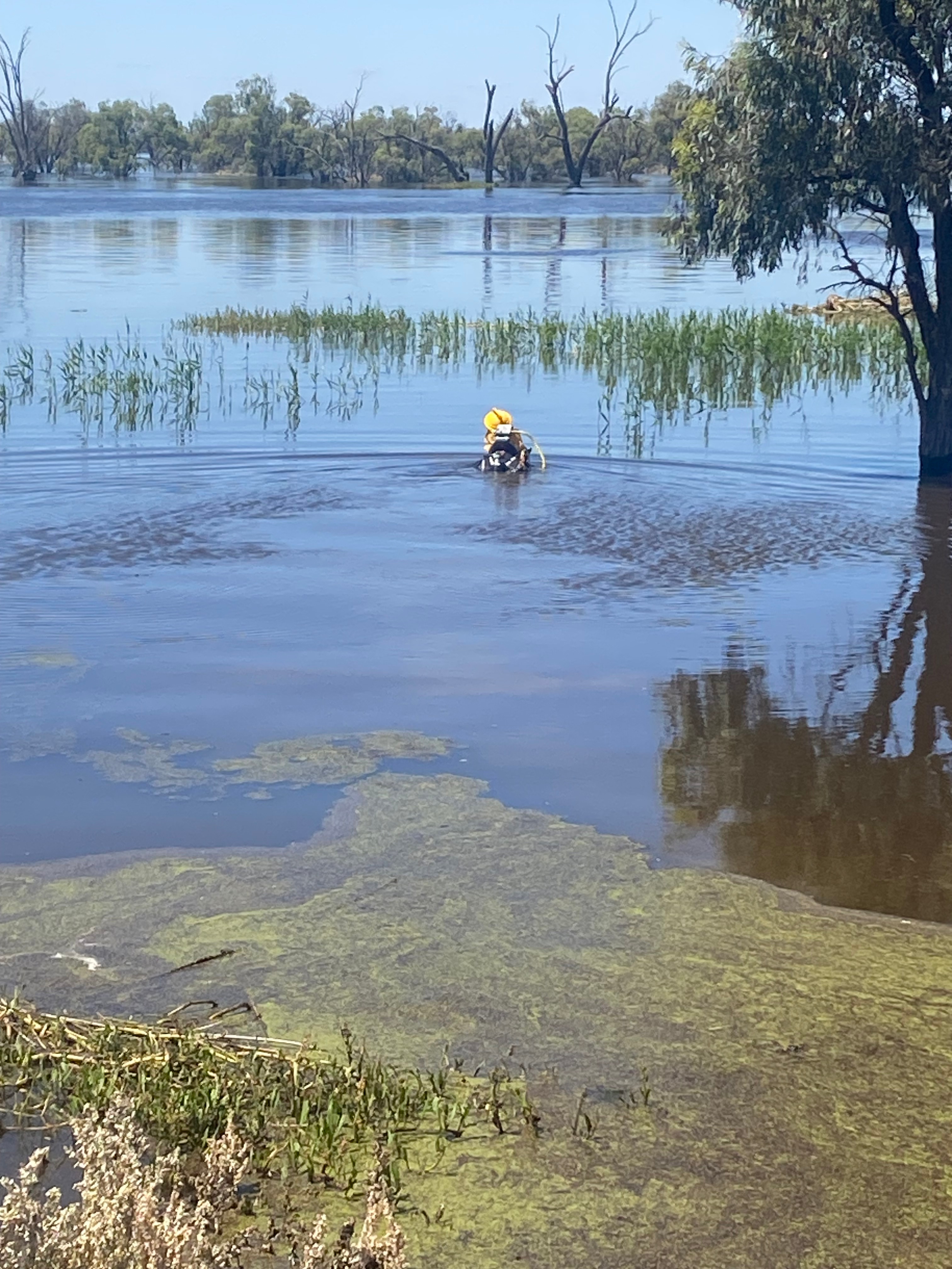 Dixie Sulda - ABC News