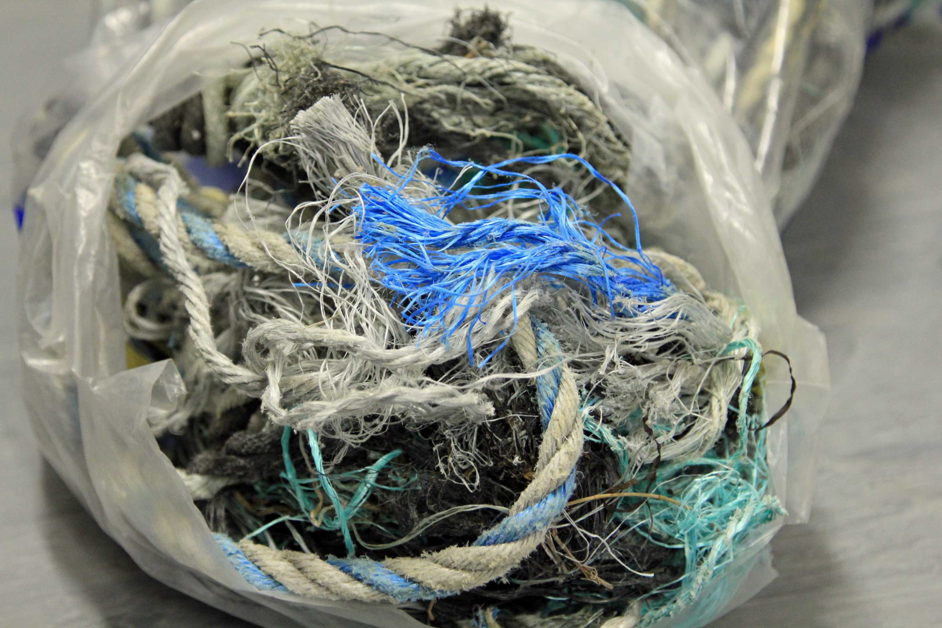 Tasmanian teacher finds way to recycle marine rope offcuts for use in ...