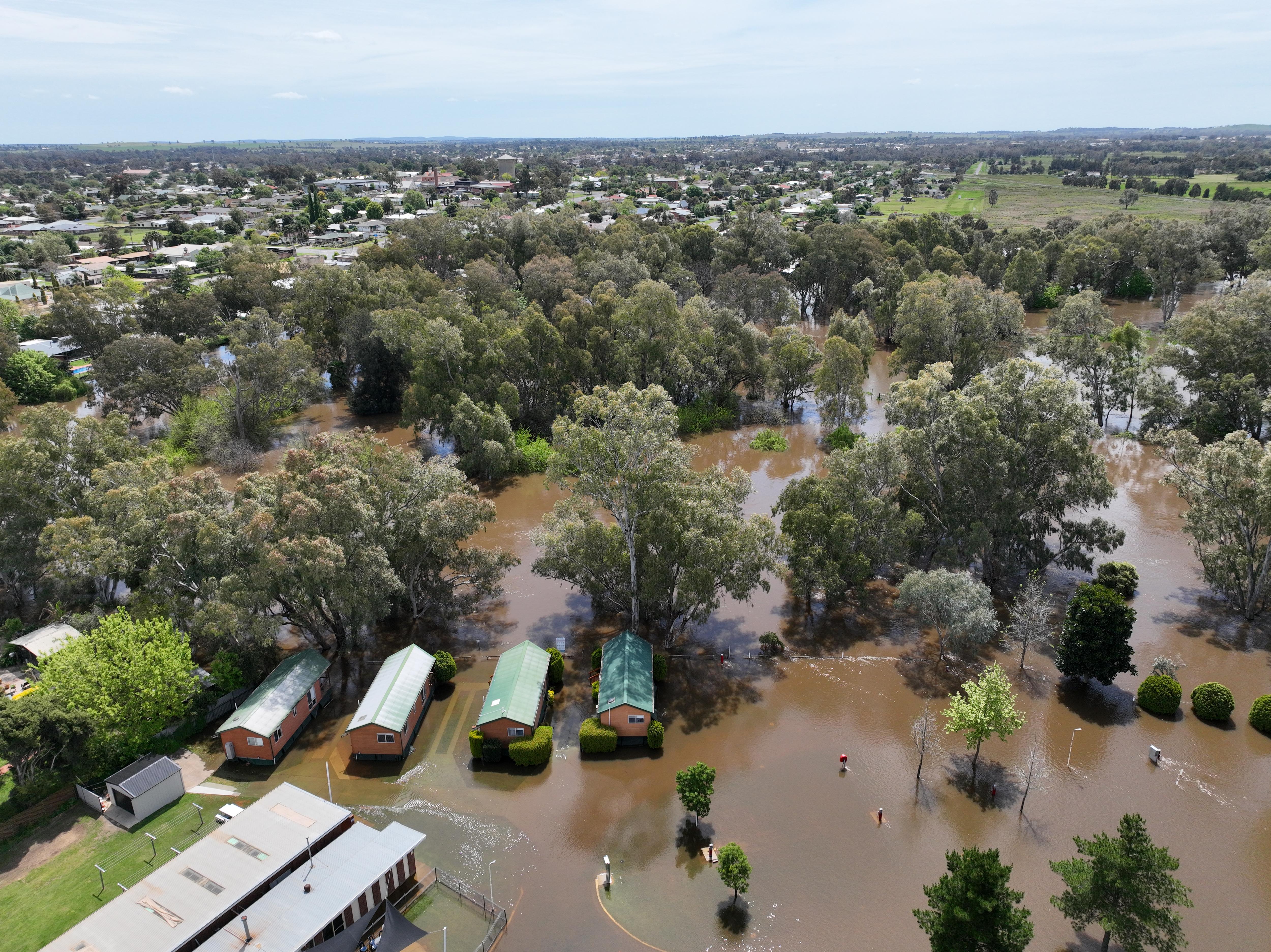 Flooded Lachlan River continues to rise at Forbes, evacuated residents told not to return home ...