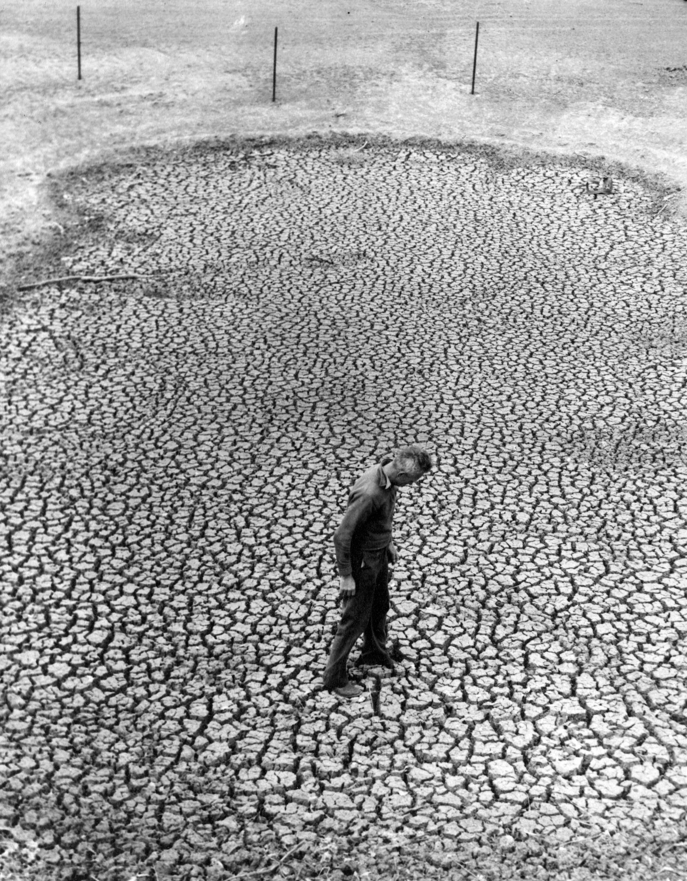 Dry argument: Australia's drought policy dilemma - ABC News