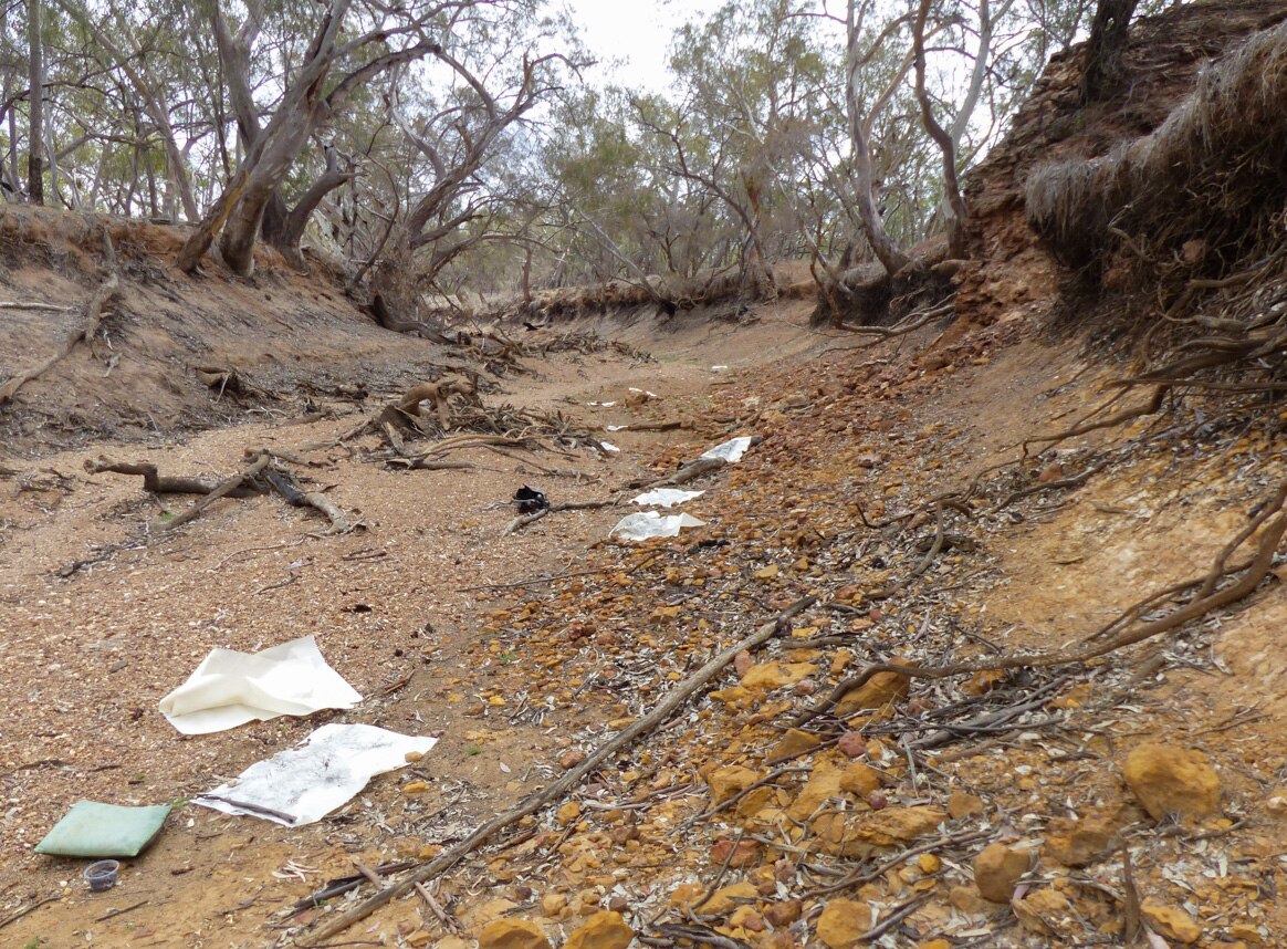 Drawing the drought: Brisbane artist documents the dry creek beds of ...