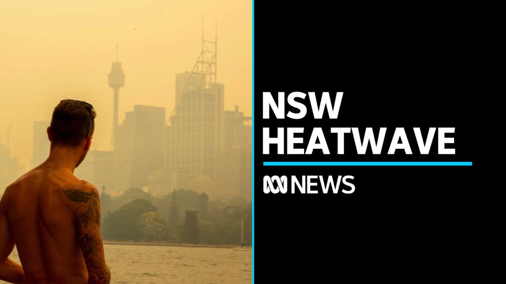 News From New South Wales : ABC iview