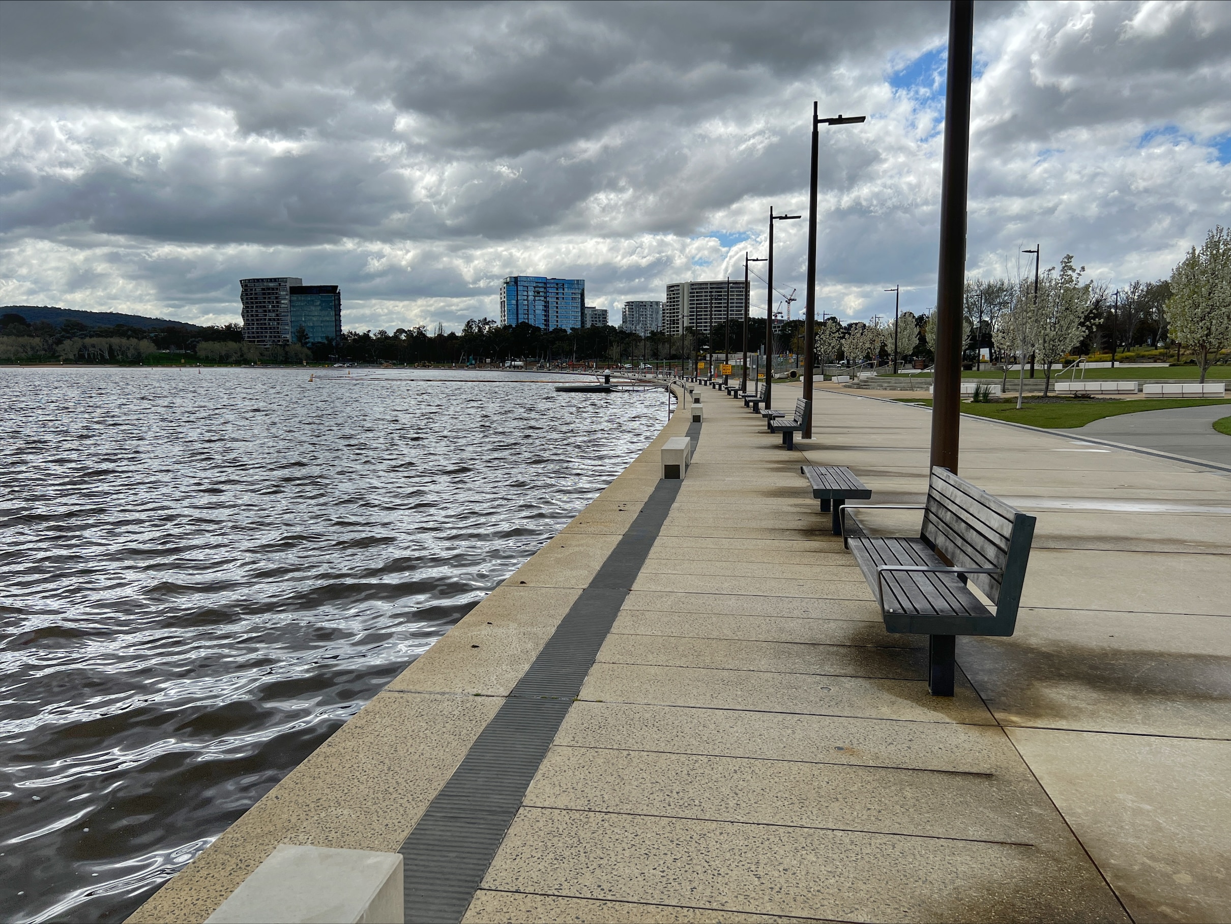 Harry Frost - ABC News