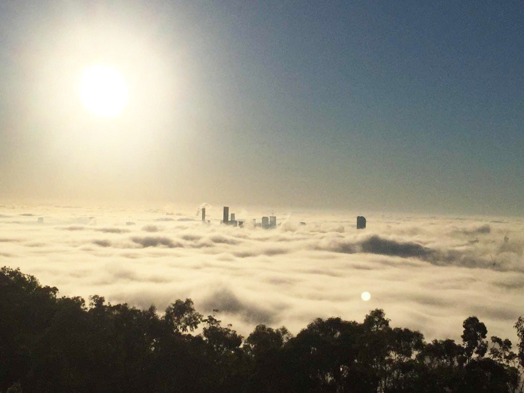 Thick fog covers Brisbane, delaying flights, reducing visibility on ...