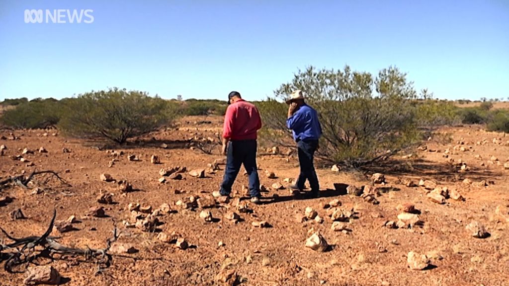 Were Australia's first people nomadic? - ABC News