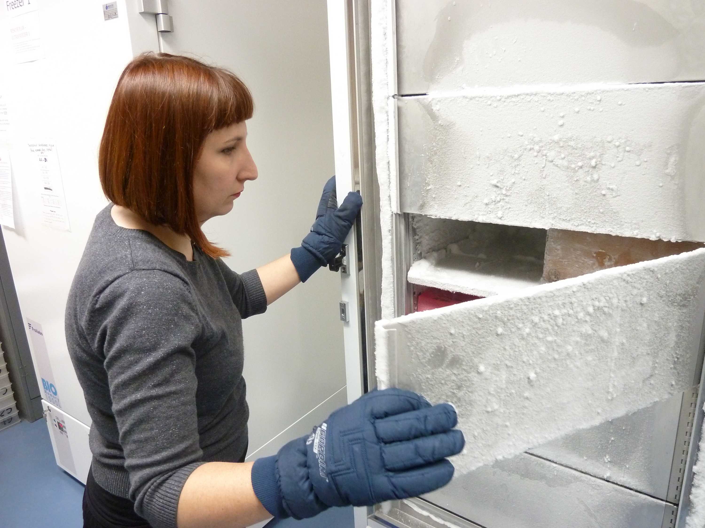 A day in the life of a museum taxonomist - ABC listen