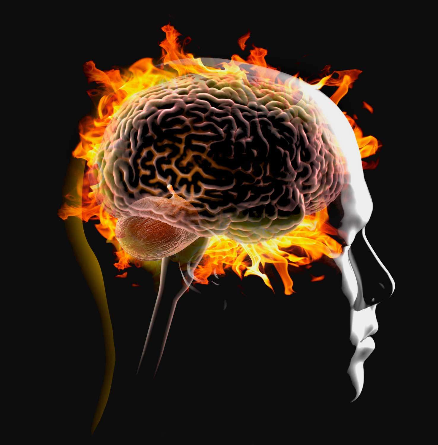 The mystery of the inflamed brain - ABC listen