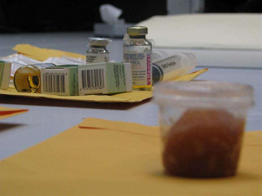 Port Stephens police dismantle major drug network - ABC News