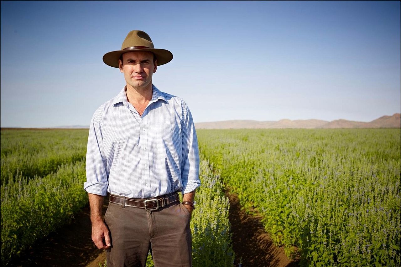 What is the future for Australian chia, quinoa farmers in the multi ...