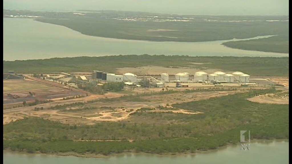 'Severe' biting insect risk near detention centre - ABC News