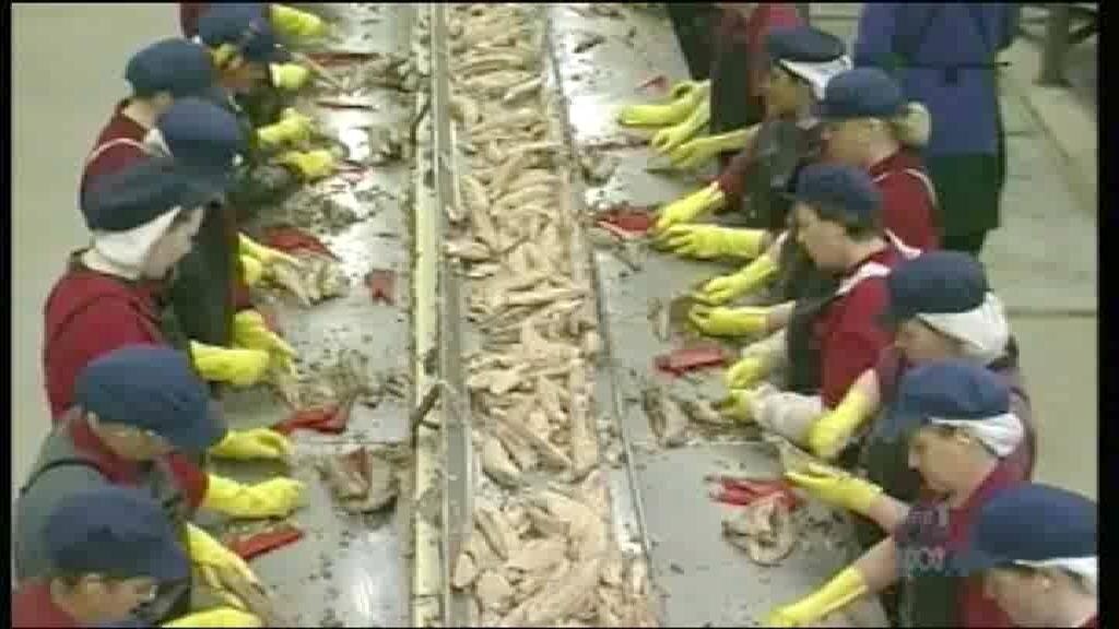 Port Lincoln tuna cannery to close - ABC News