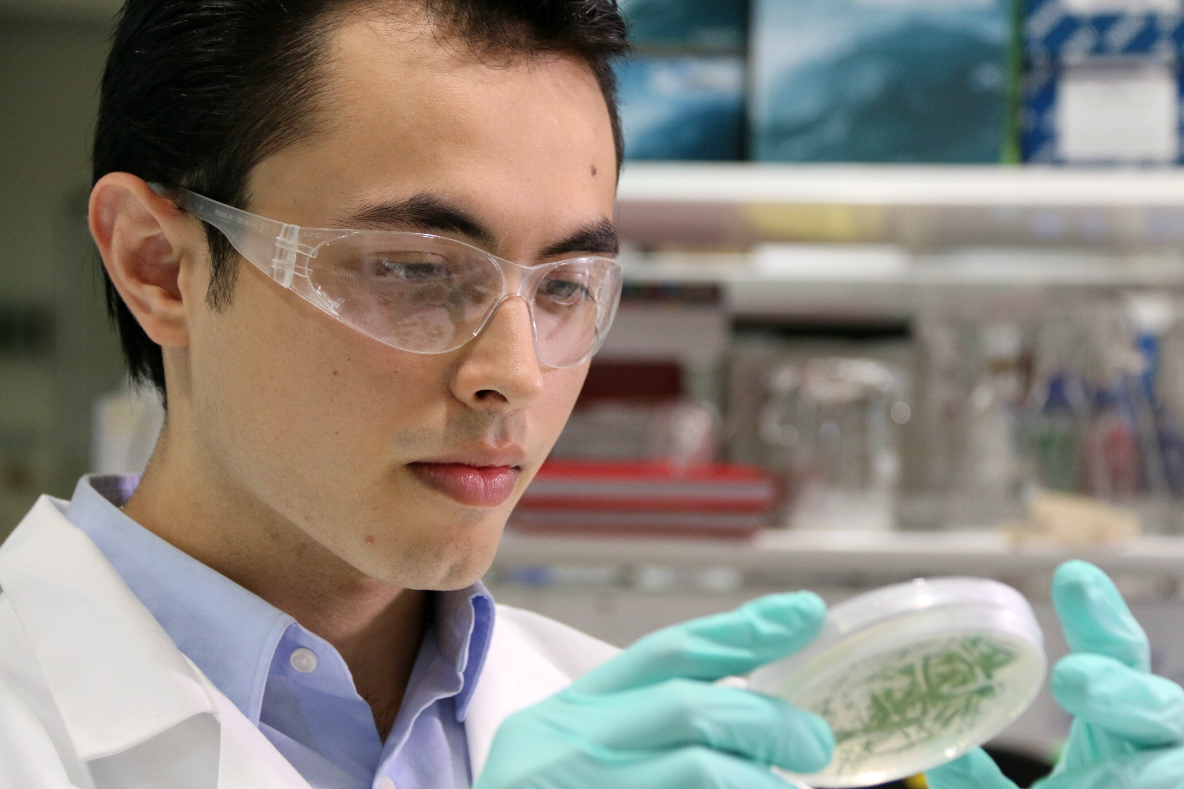 Vivid algae lights the way in Sydney, as festival kicks off a new way ...