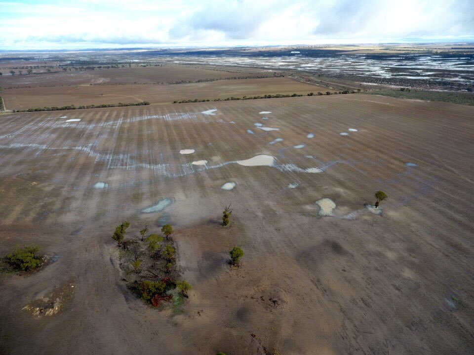 Widespread rain in WA brings half of Perth's monthly average in one ...