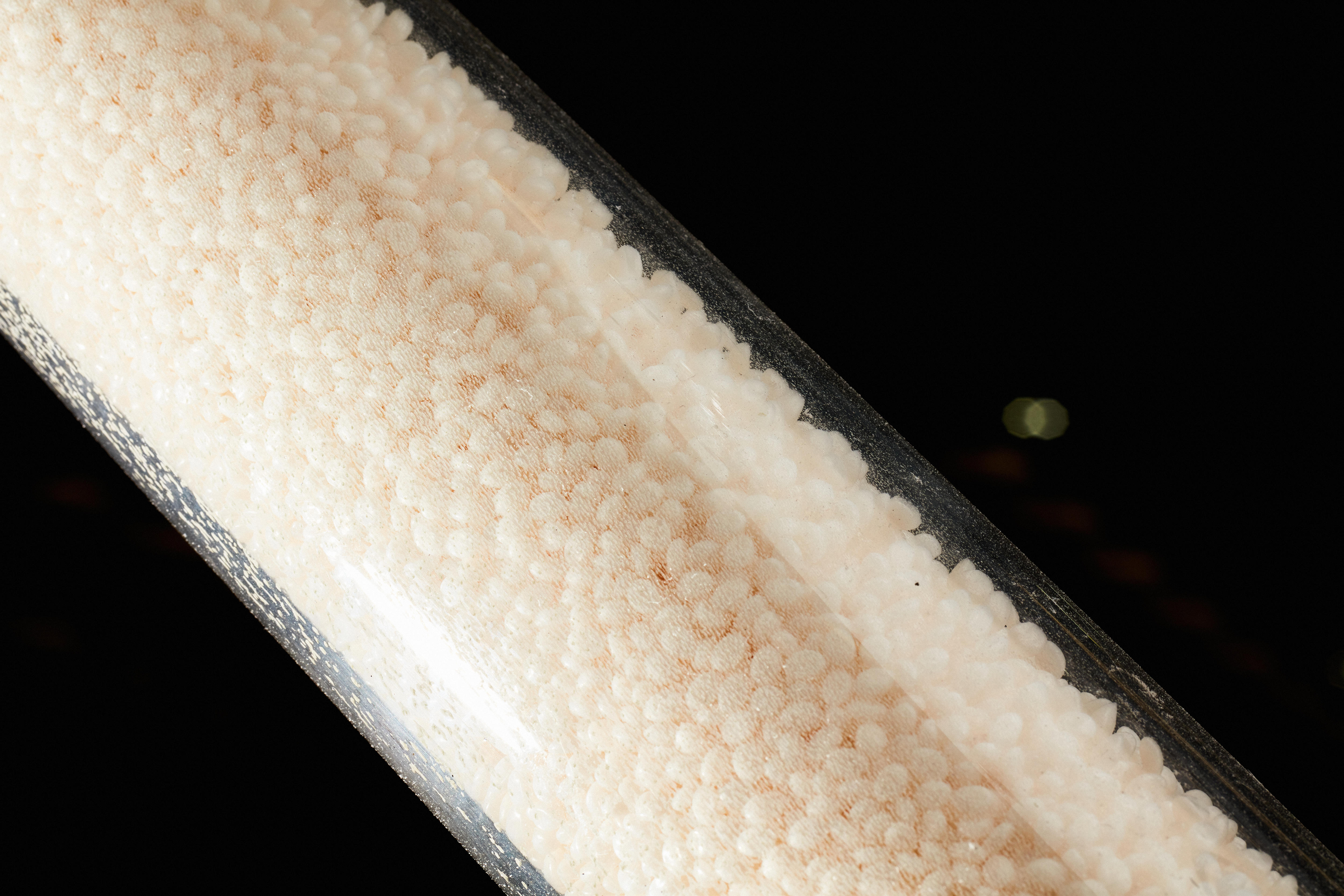 From waste to wrap, company transforming potato scraps into eco ...