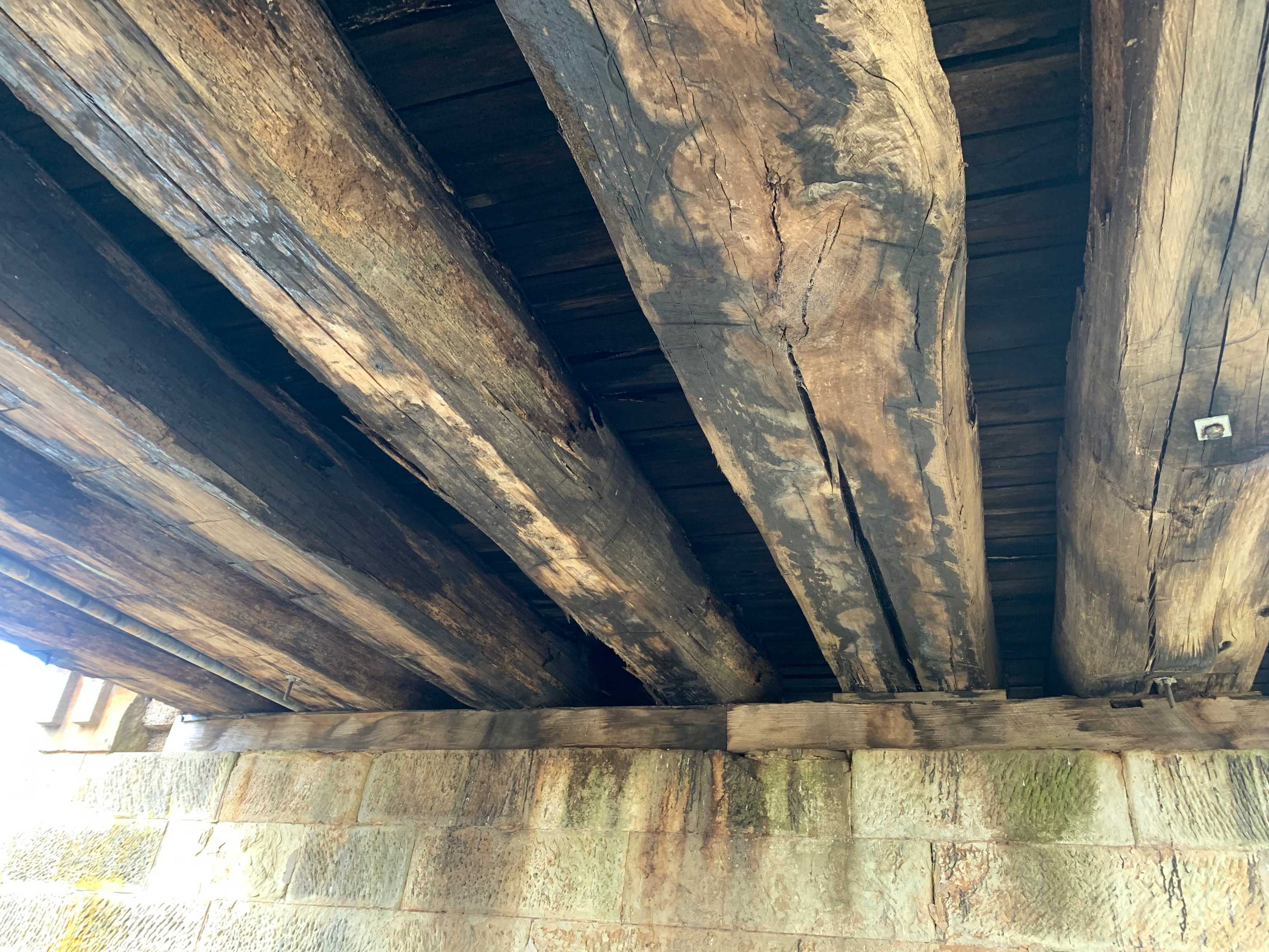 Australia's oldest single-span wooden bridge facing concrete future ...
