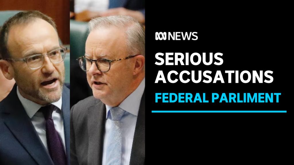 Meet the boxer overcoming challenges to achieve greatness - ABC News