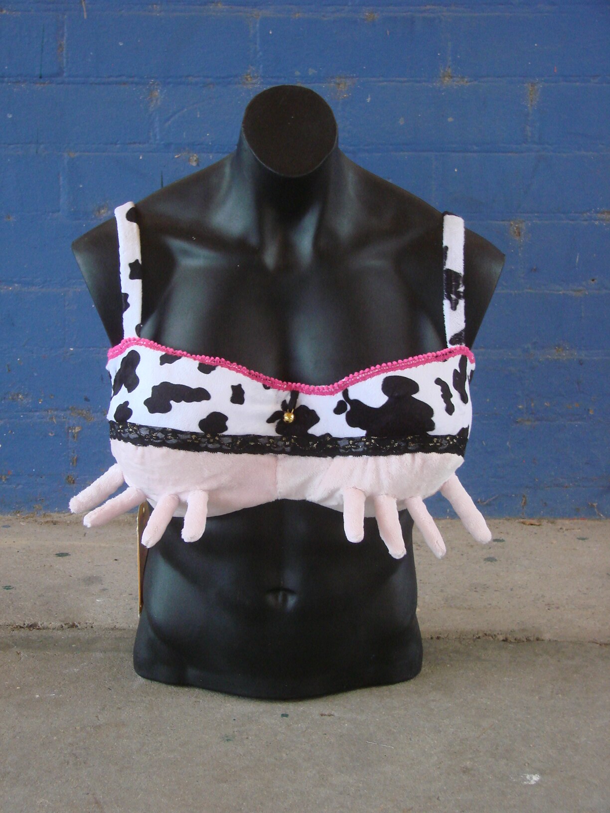 Cows keep abreast of cancer research - ABC News