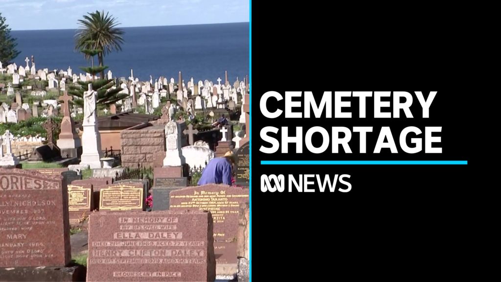 Miranda Tapsell reflects on the 'surprising' reaction to her Get Krack ...