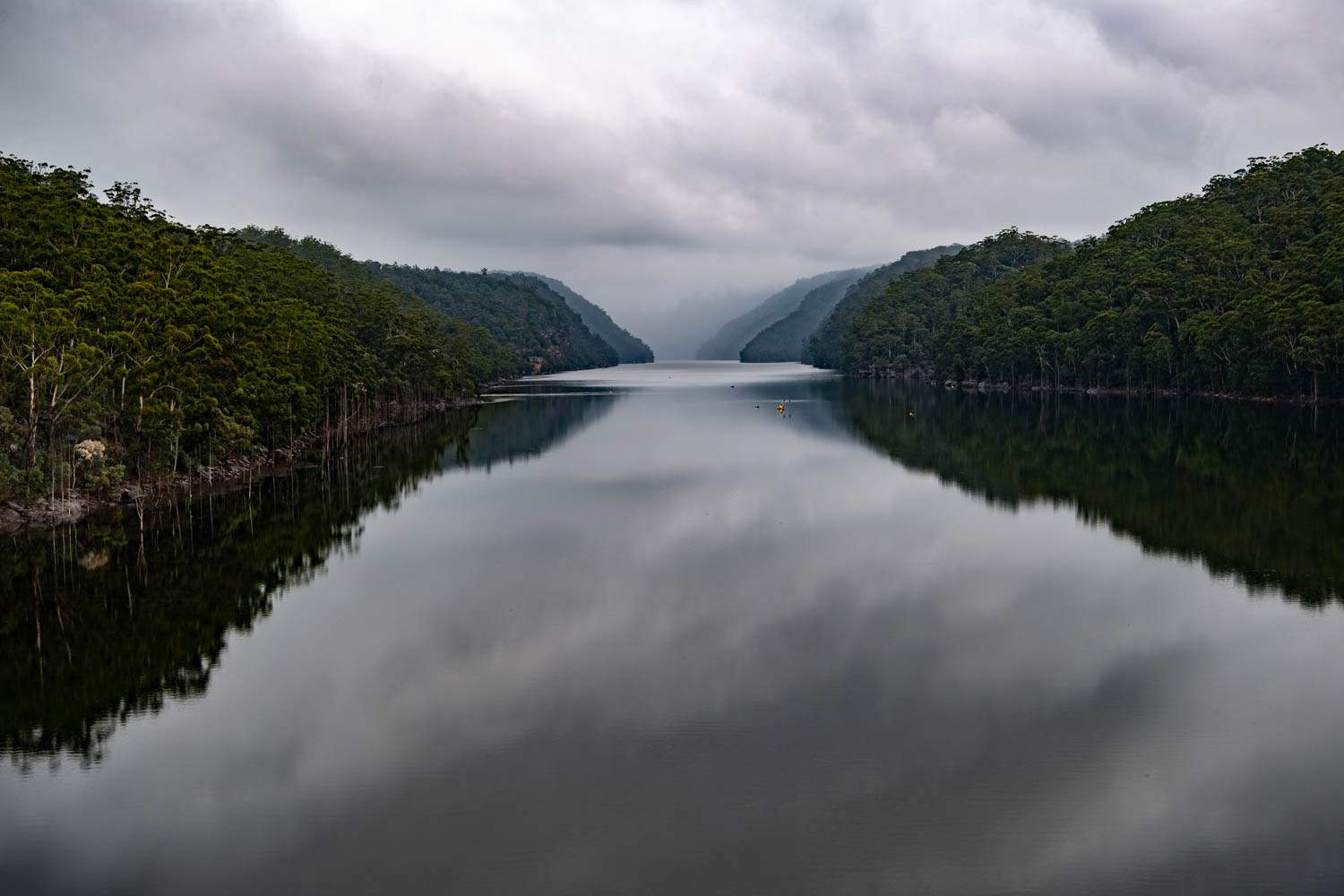 Penny Timms - ABC News