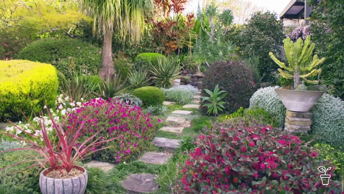 Retro Ross - Gardening Australia