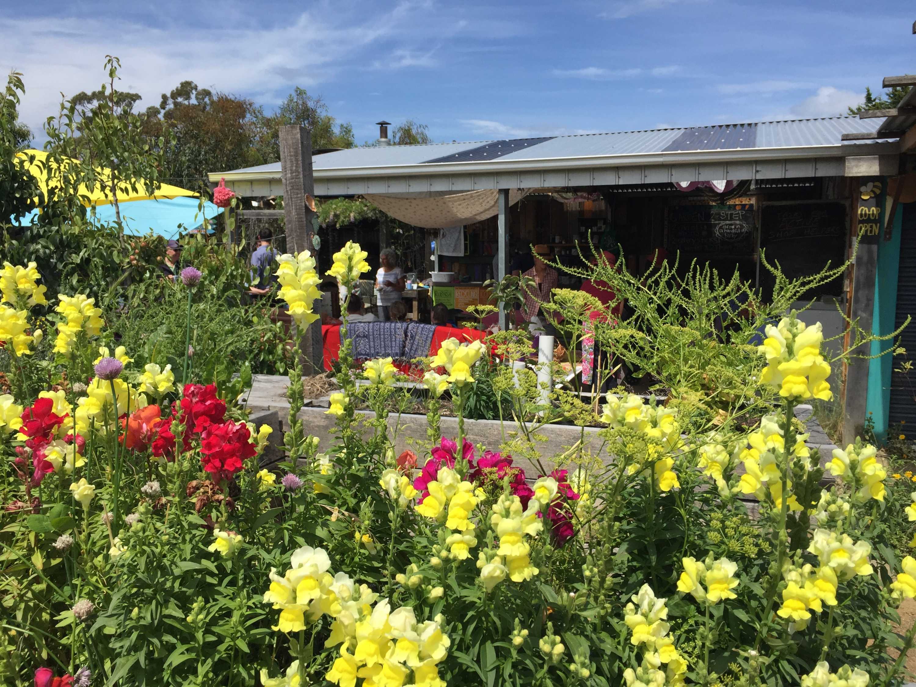 Researchers examine how being in nature improves health through DIGnity ...