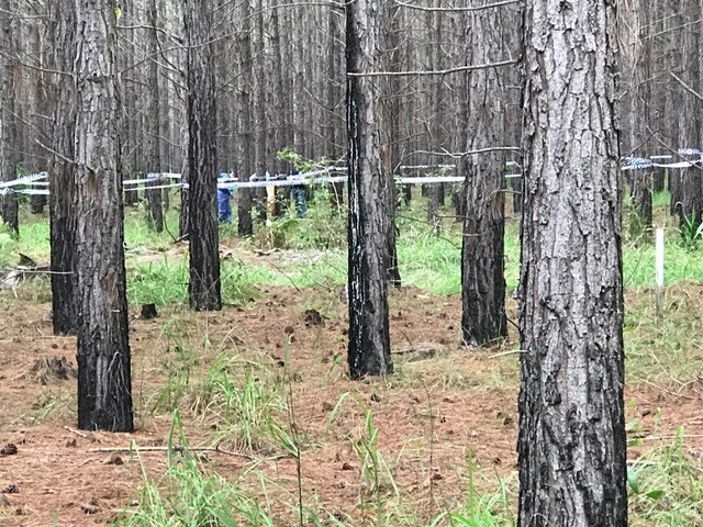 Samuel Thompson: Remains exhumed from Caboolture that of missing ...