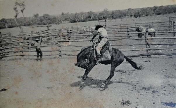 The Northern Territory's 'Aboriginal queen', Nellie Camfoo, on race ...