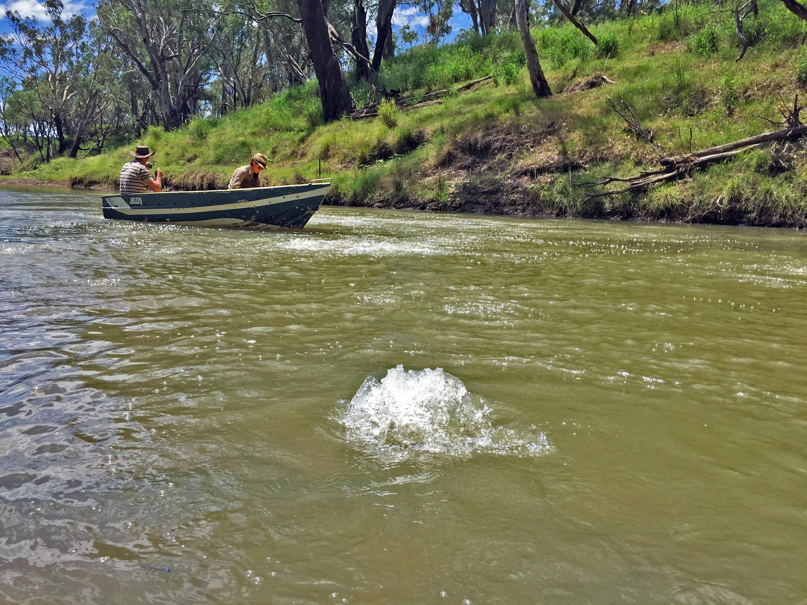 Condamine River's mysterious bubbling 'intensifying' - ABC News