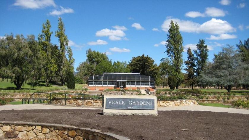 Adelaide's recycled water pipeline helping droughtproof city parklands ...