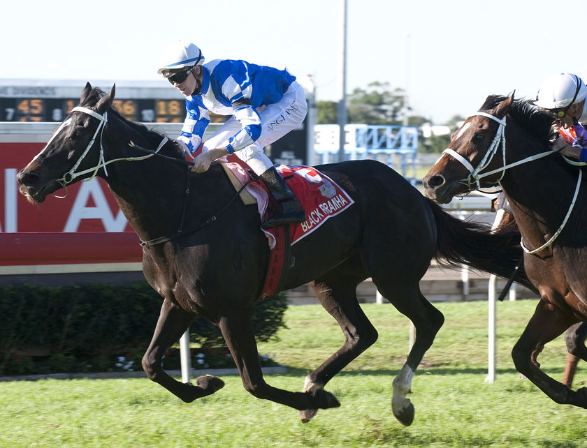 Piranha finally tastes Group One success - ABC News