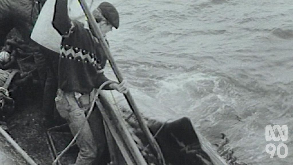 Albany Whalers (1971) - ABC News