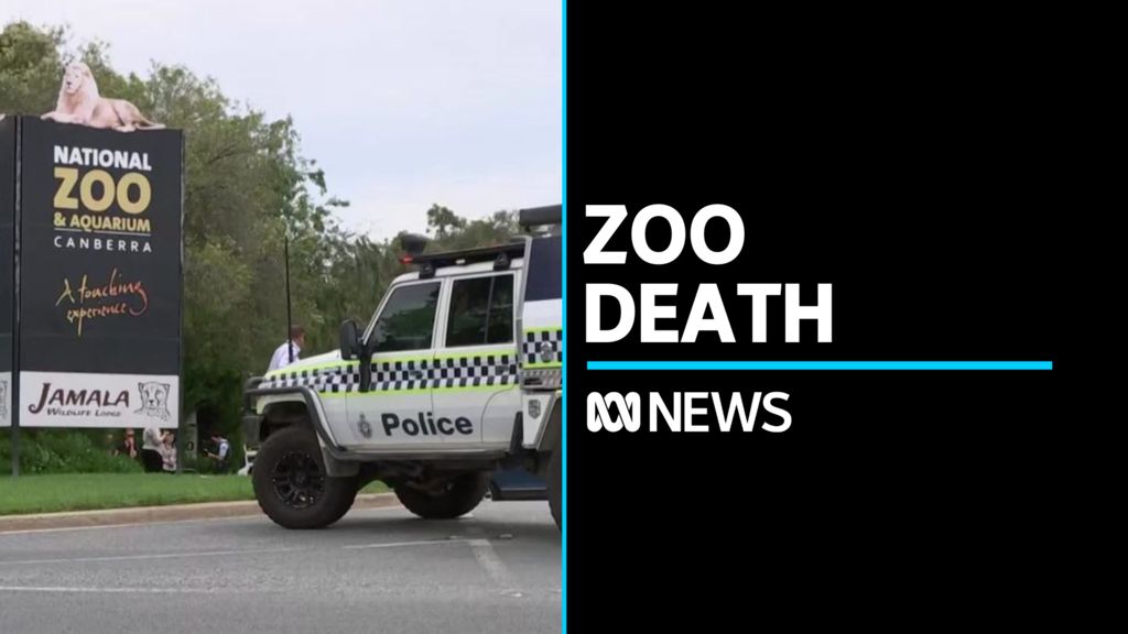 Law, Crime and Justice - Topic - ABC News