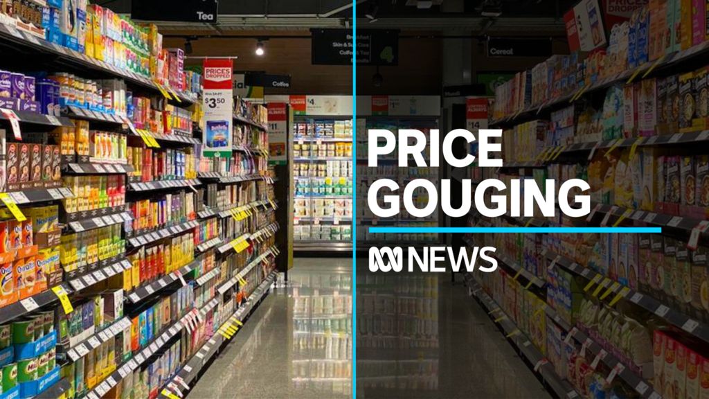 Inquiry into price gouging looking at profit hikes of big business ...