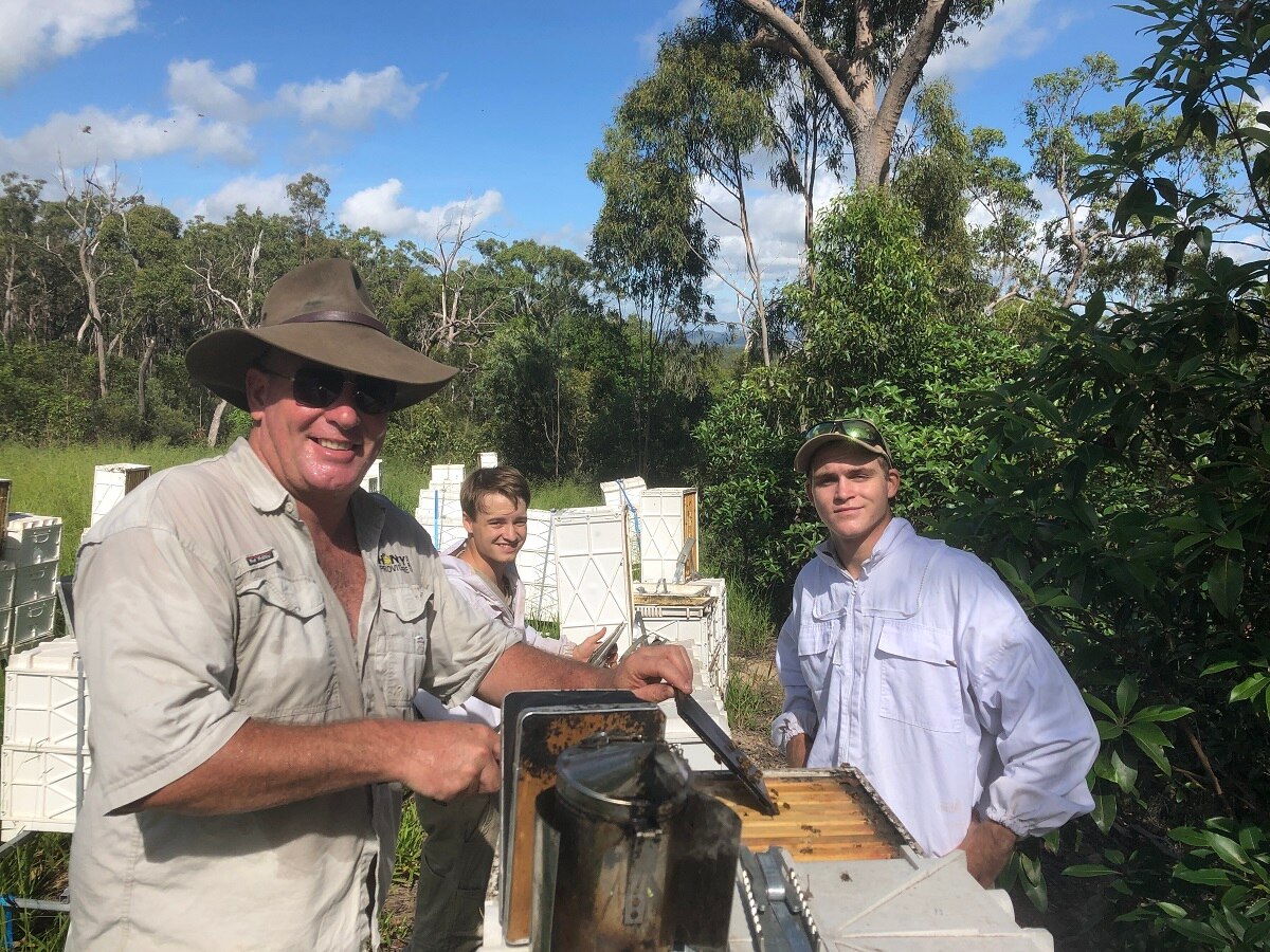 Beekeeper's sweet supermarket deal takes the sting out of 'fake' honey ...
